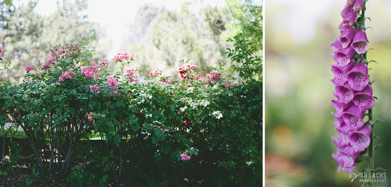 the gardens at heather farm